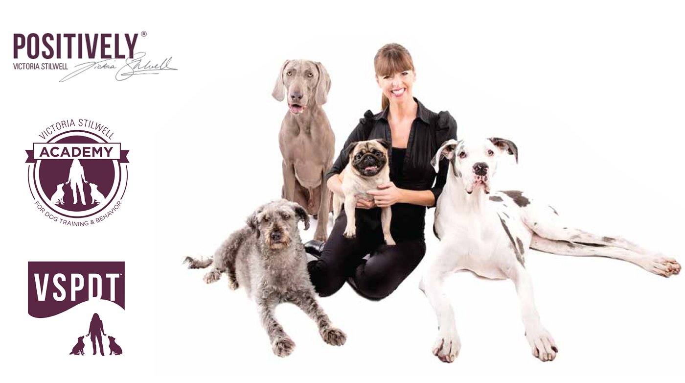 About J.Nichole Smith: The Long Story - J.Nichole Smith